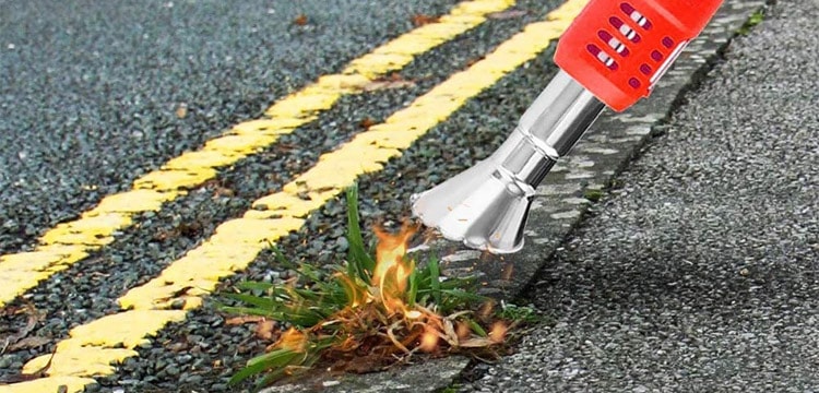 10 Best Electric Weed Burners (Reviews) in 2021 to Save Time and Labour